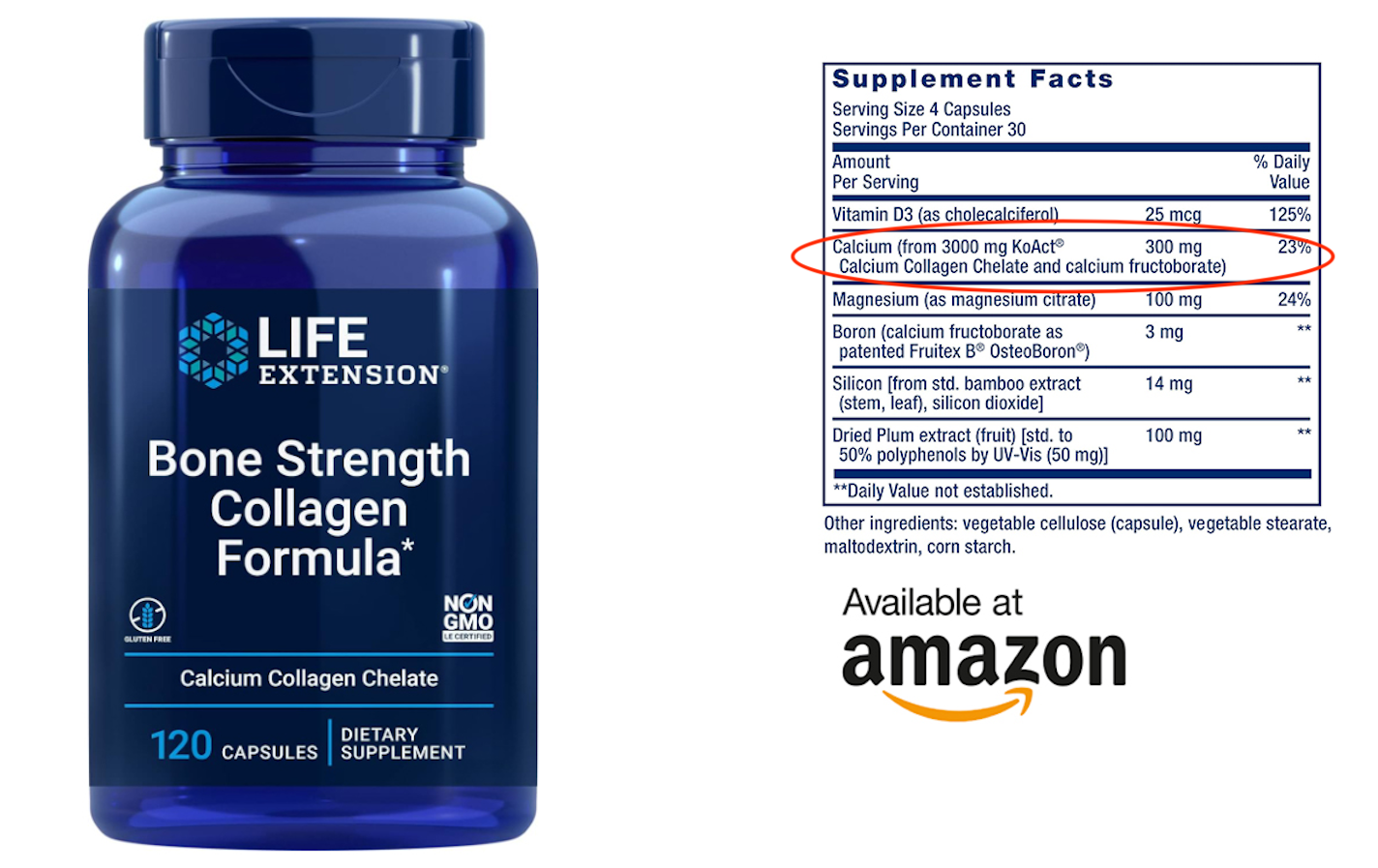 KoACT – Beyond Bone Mineral Density